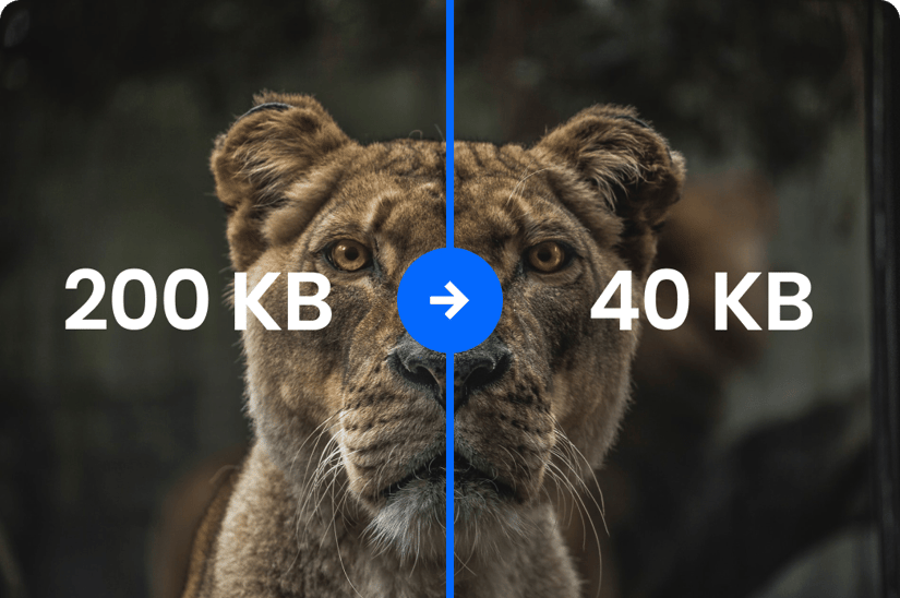 PageSpeed | SpeedKit